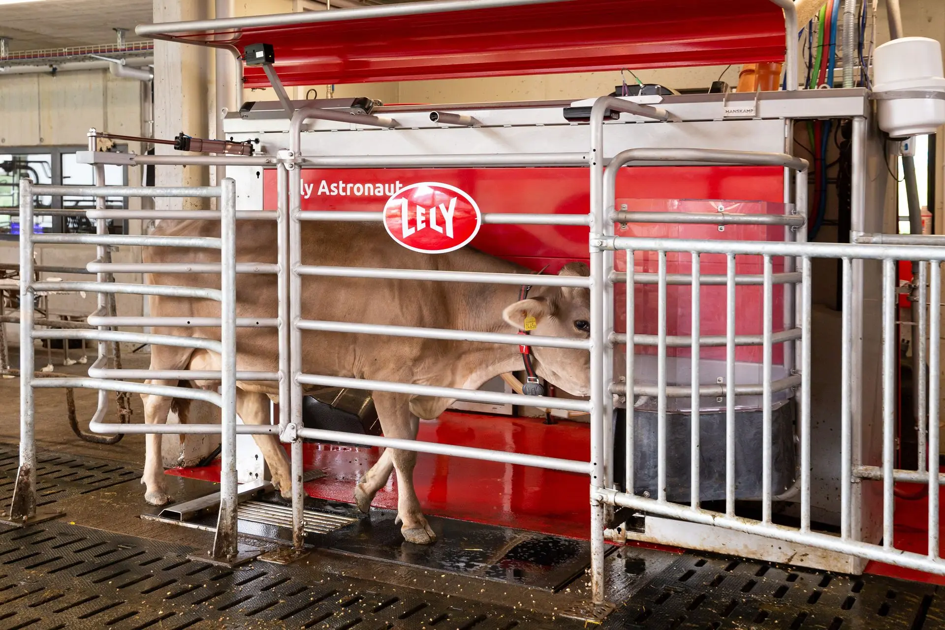 Erfolgreiches Melken - Lely Astronaut | Lely Center Enns